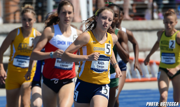 The Matt Dearden Show: Carsyn Koch | Dearden Digressions